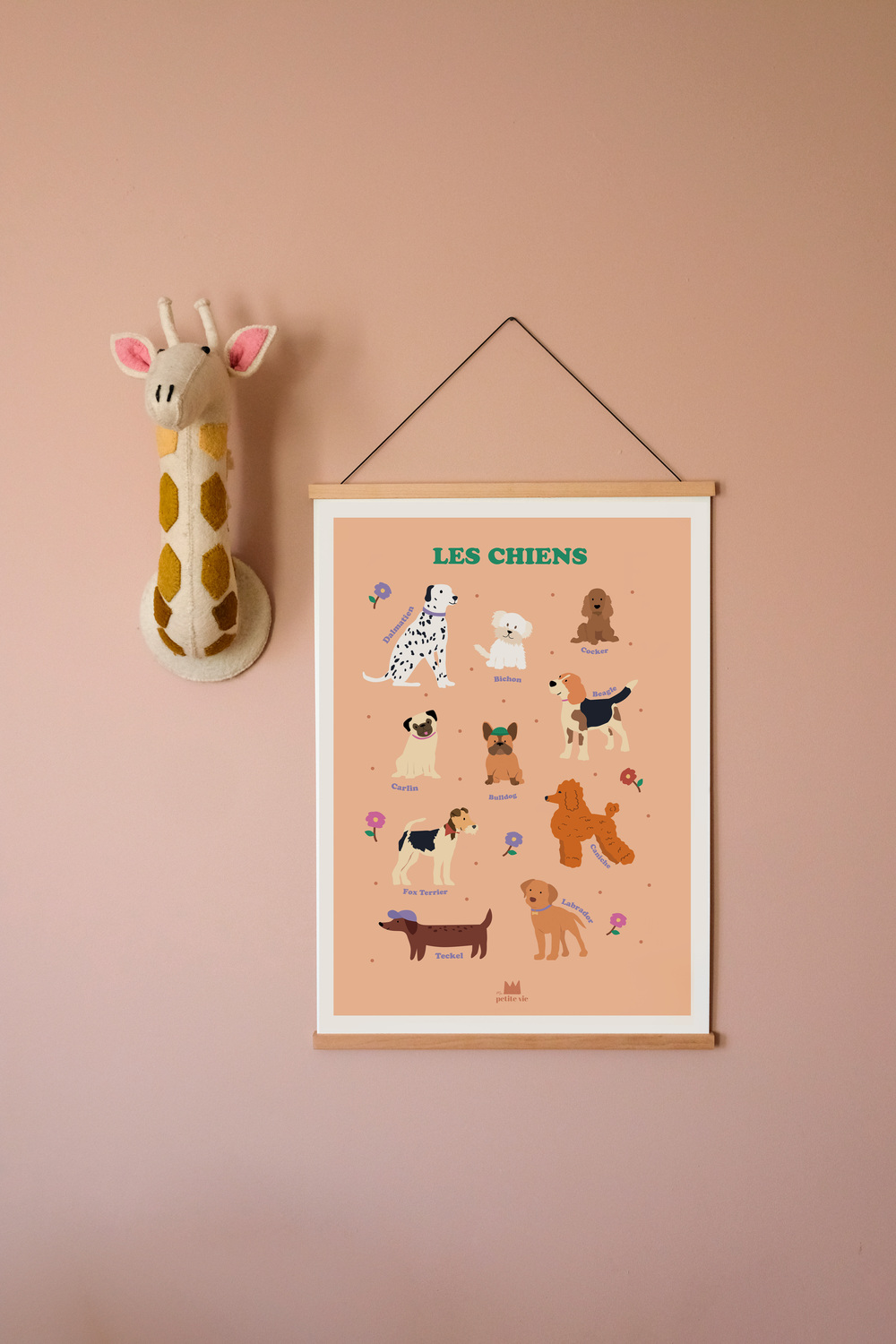 Grande affiche pédagogique "Les chiens" | Ma petite vie