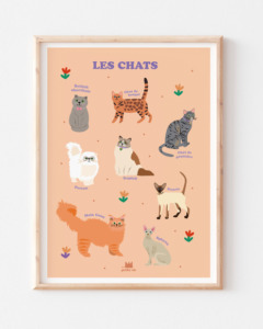Affiche "Chat aerobic" | Ma petite vie